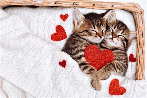 65歳から「住民税非課税世帯」に…知っておきたい給付や補助金などの優遇措置5つ 国民健康保険料や医療費負担の軽減など 2ページ目 Limo くらしとお金の経済メディア