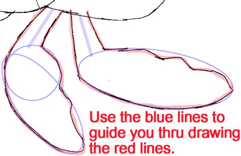 How To Draw Squirt The Turtle From Finding Nemo With Easy Step By Step Drawing Tutorial Artofit