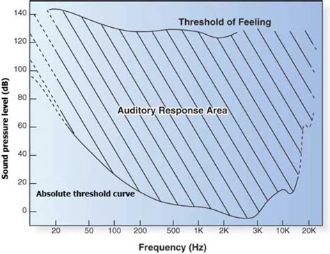 Typical Absolute Threshold Curve Of The Human Auditory Response Download Scientific Diagram