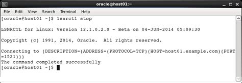 Using The Listener Control Utility To Manage The Listener