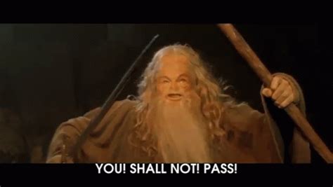 You Shall Not Pass  Lordoftherings Gandalf Youshallnotpass