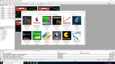 How To Set Up A VPS For Forex Trading ScalaHosting Blog