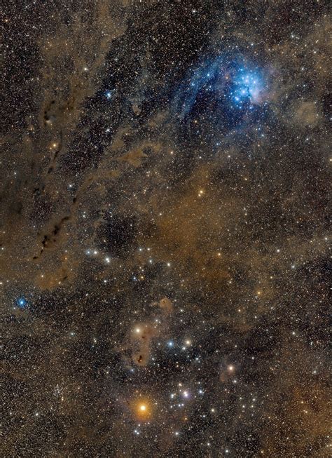 The Hunger Moon Grows Bright At Night And Far Mars Holds Court In Evening While Several Planets