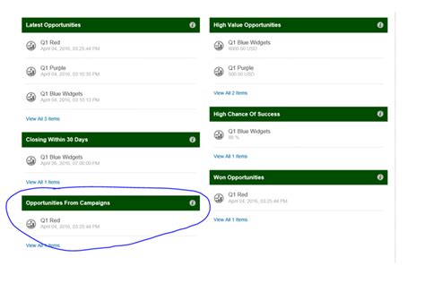 Managing Custom Filters For Opportunity And Servic Sap Community