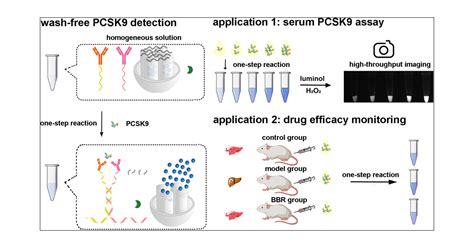 Homogeneous Solution Diagram