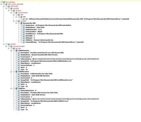 RsEngineSvc c est quoi ce processus Résolu