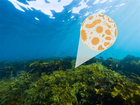 Dtu Bioengineering Data Science Hub On Linkedin Godt Nyt For Truede