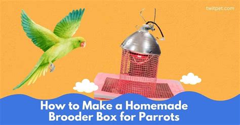 How To Make A Homemade Brooder Box For Parrots Step By Step Guide