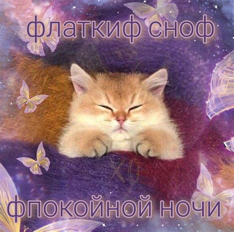 Спокойной ночи Kitty Cute