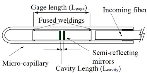 FPI Sensor Element Showing The Strain Measurement Optical Components 33 Download Scientific
