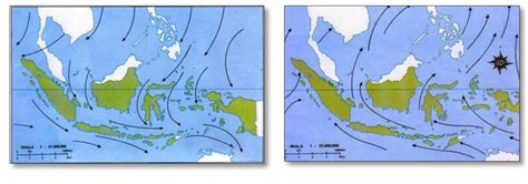 Jenis Jenis Angin Angin Tetap Angin Muson Angin Lokal Angin Pasat