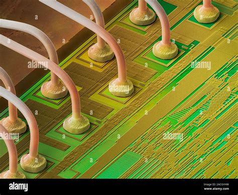 Microchip Connectors Coloured Scanning Electron Micrograph Sem Magnification X123 At An