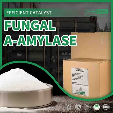 Manufacturer Supply Bulk Raw Materials Fungal Alpha Amylase Enzymes