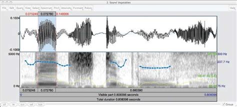 Waveform And Spectrogram For The Word Vegetables As Displayed In