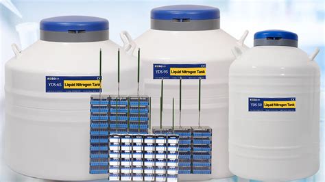 When Storing Liquid Nitrogen Samples Should The Liquid Nitrogen Or The Sample Be Placed First