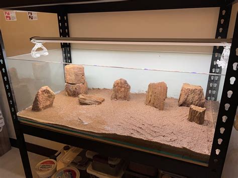 New Tank Rtriops