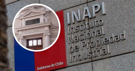 El Estándar Chileno De Distintividad Lo Que Revela El Caso Real Mandril