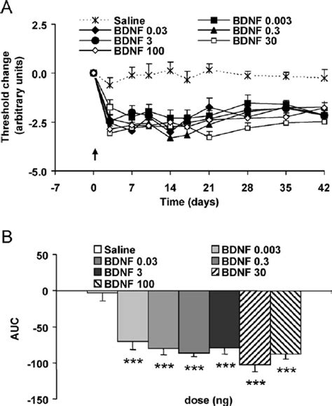 Effect Of Intrathecal Administration Of Single Doses Of Bdnf 0 003