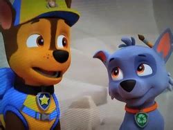 Paw Patrol Chase And Rocky