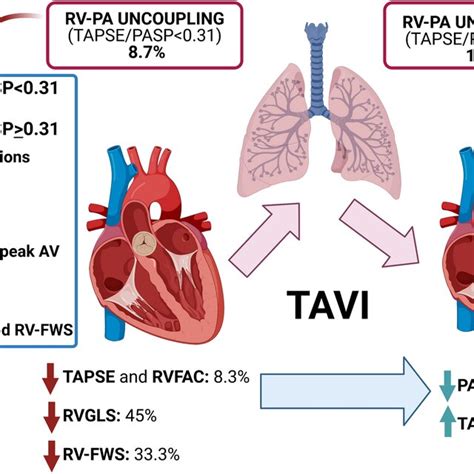 Percentages Of Rv Systolic Dysfunction Based On Different Download