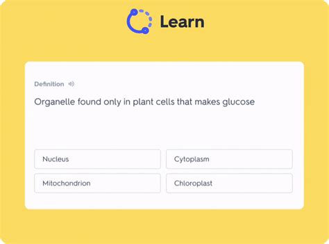 Online Flashcard Maker And Flashcard App Quizlet Online Flashcard Maker And Flashcard App Quizlet