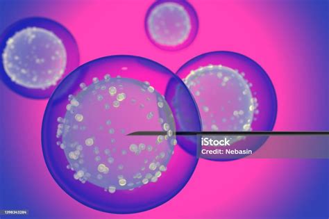 인공 수정 개념 빨간색 배경에 세포를 관통하는 주사기 3d 렌더링 Dna에 대한 스톡 사진 및 기타 이미지 Dna 건강관리와 의술 과학 Istock