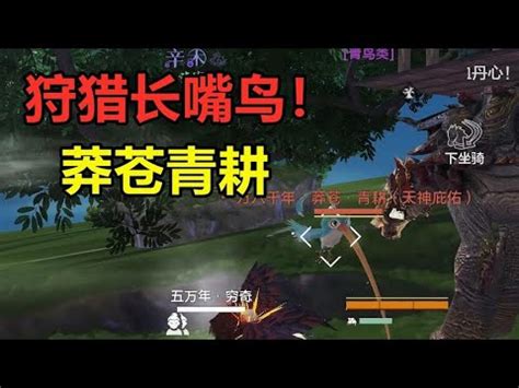 妄想山海狩猎愤怒的长嘴小鸟一万八千年青耕 妄想山海 YouTube