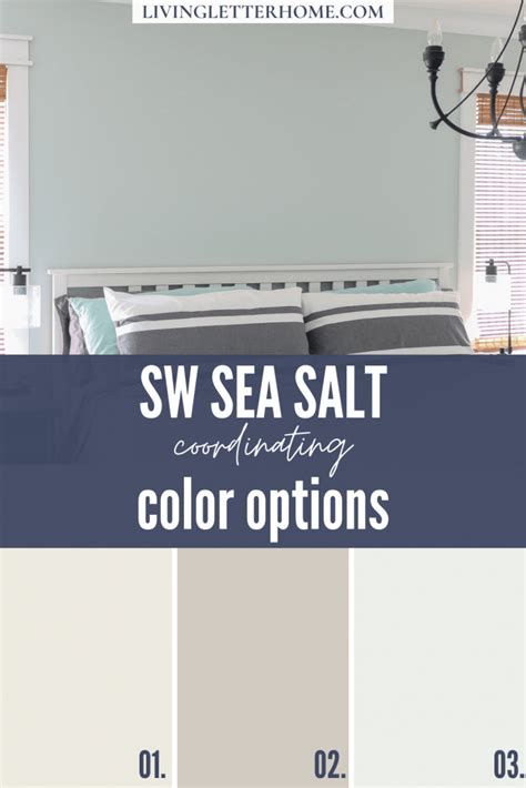 Introducing Sea Salt Sherwin Williams Paint Color A Timeless Classic