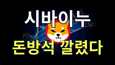 시바이누 코인 돈방석 앉을 준비 되셨죠 Youtube