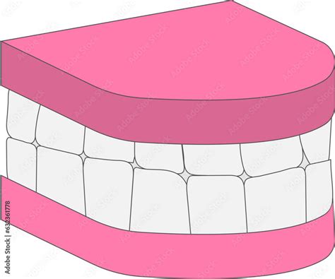 Stockvector 치과 치아 모델 벡터 일러스트 Adobe Stock