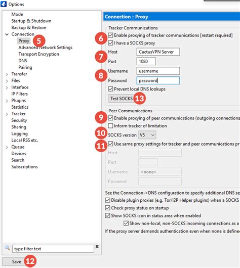 How To Set Up Proxy On Vuze CactusVPN