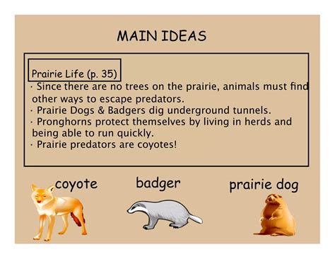 Chapter 2 Lesson 2 A Sea Of Grass Pdf Dogs Pets