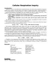AP Lab Cell Respiration Inquiry St Cellular Respiration Inquiry Introduction Respiration