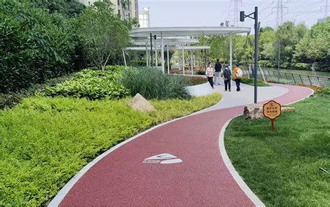 200公里绿道建设目标，达成！休闲景观绿化