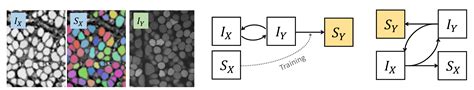 VCG Harvard Instance Segmentation Of Unlabeled Modalities Via Cyclic Segmentation GAN