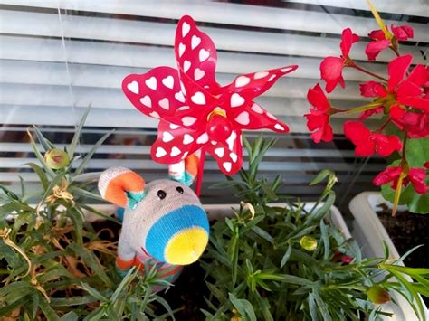 9 | Мария Донева