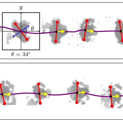 A C Pedestrian Trajectories Purple Superimposed To Depth Snapshots