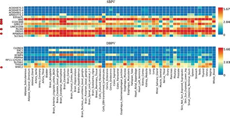 average expression per label log2 transformed for genes identified