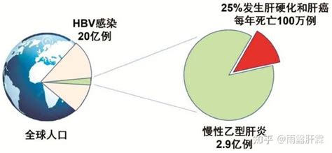 追求乙肝临床治愈，降低肝癌发生！ 知乎