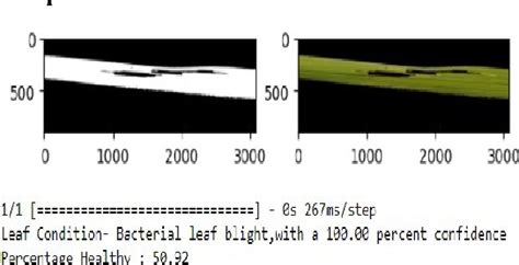 Figure 1 From Deep Learning Based Leaf Disease Detection Using Convolutional Neural Network