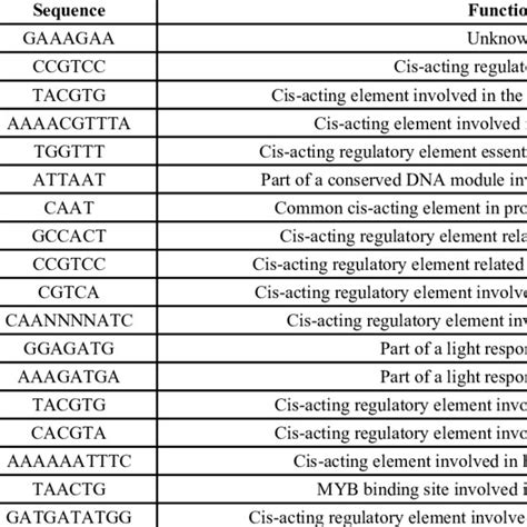 Identified Cis Regulatory Elements And Associated Function In The