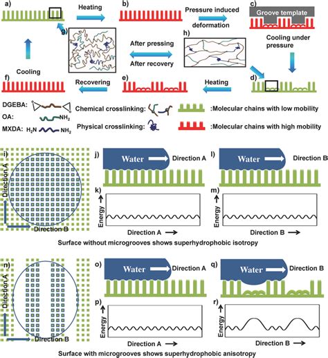 Schematic Illustration Of Variation Of The Molecular Chain Download Scientific Diagram
