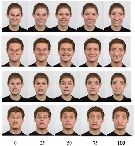 Facial Emotion Recognition Test Wordpress Blog