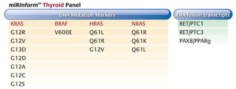 Thyroid Biopsy By Alexander Shifrin Md Thyroid