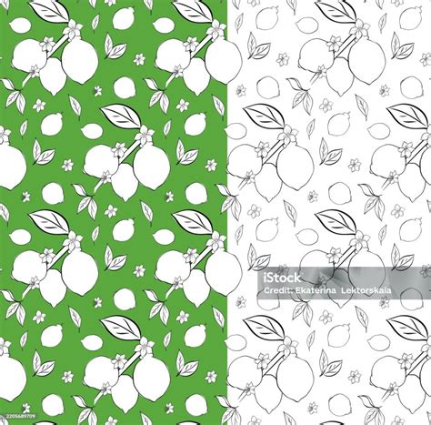 구연산 레몬 가지 잎과 흰 꽃 완벽 한 패턴 벡터 그래픽 라인 잉크 투명 배경에 흑인과 백인 그림 메뉴 패키지 화장품 섬유 카드에 이상적 감귤류 과일에 대한 스톡 벡터 아트