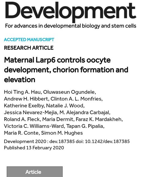 Ramy Ragheb On Linkedin Cool