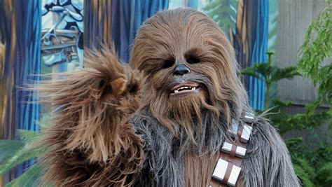 Chewbacca Speaking English Will Blow Your Tiny Mind Maxim