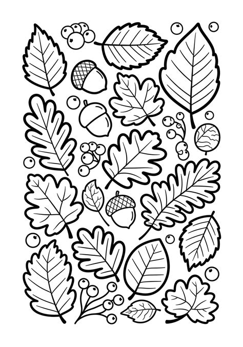 Fall Leaves Coloring Pages For S