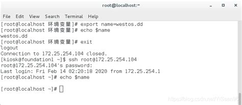 Shell编程 数组与环境变量shell 环境变量 数组 Csdn博客 Shell编程 数组与环境变量shell 环境变量 数组 Csdn博客