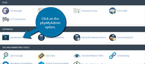 How To Replace Text In Your Wordpress Database Greengeeks
